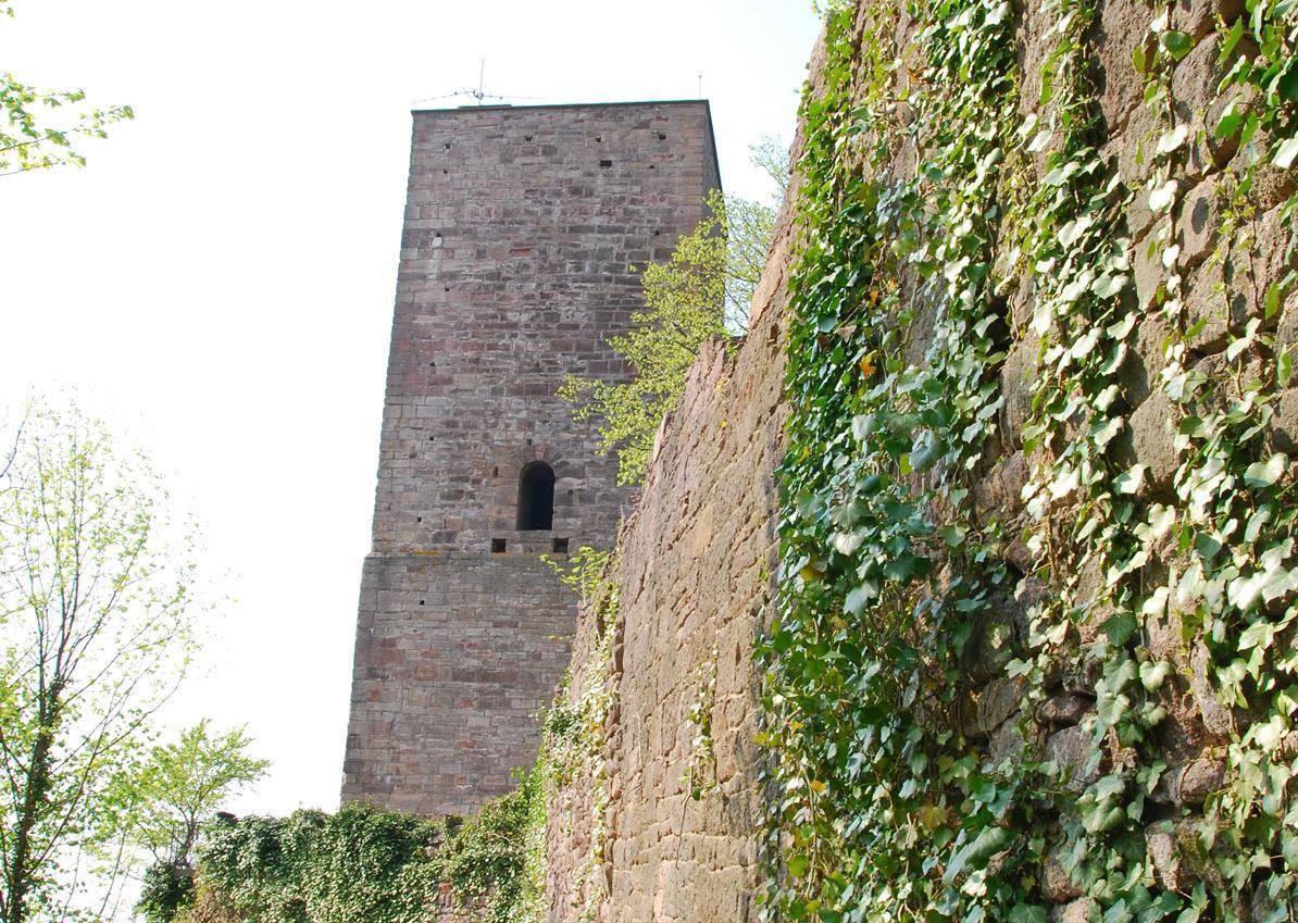 Burg